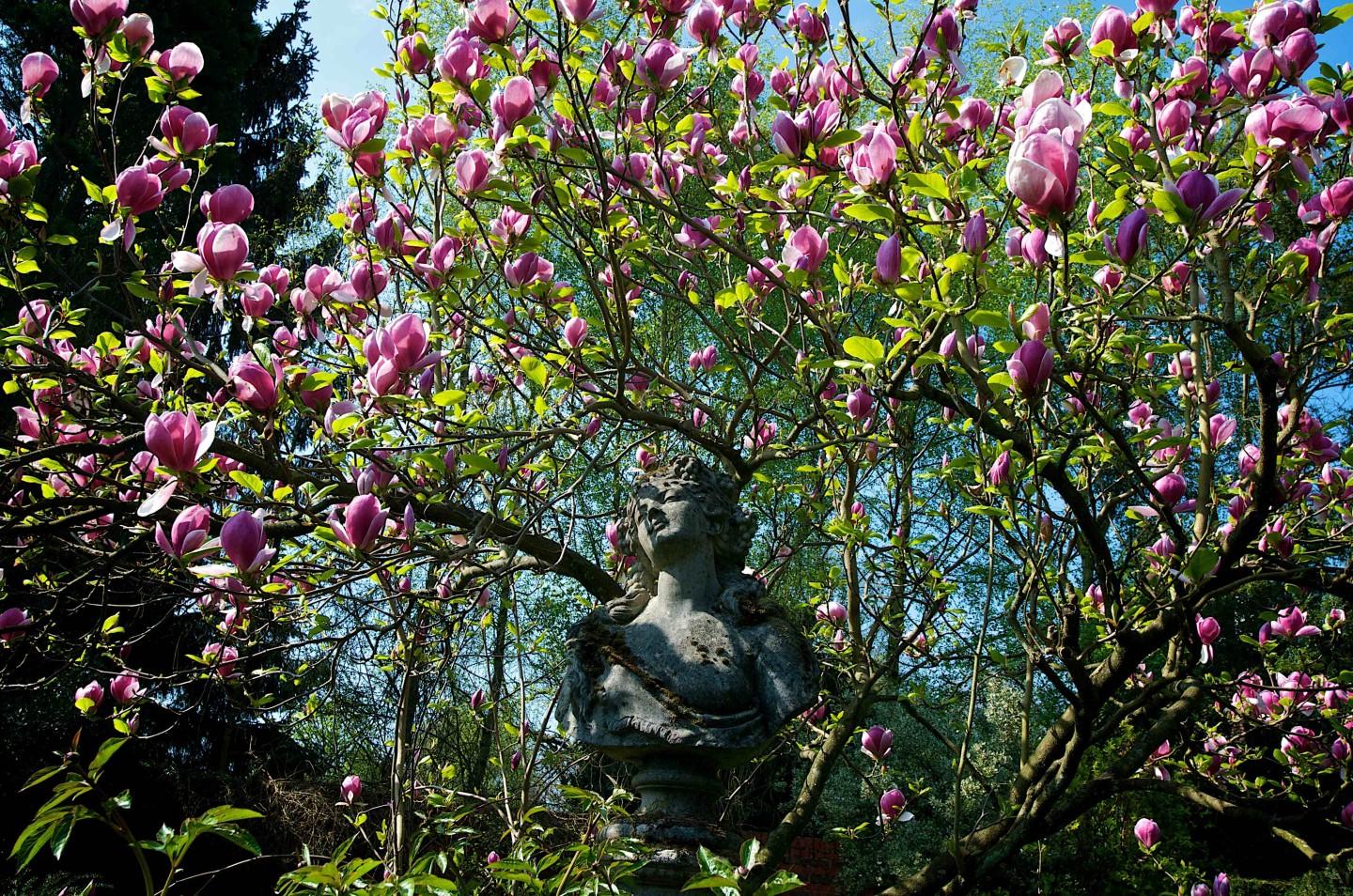 Tour Through The Gardens of Kent - Greatdays UK Incoming